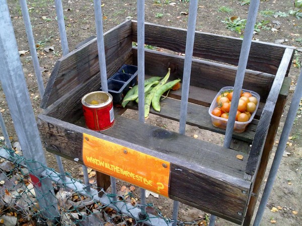 International Village Shop: Shops: Abbey Gardens Honesty Stall ...